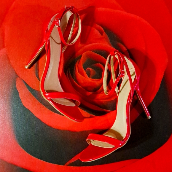 Wild Diva | Shoes | Diva Lounge Heels | Poshmark